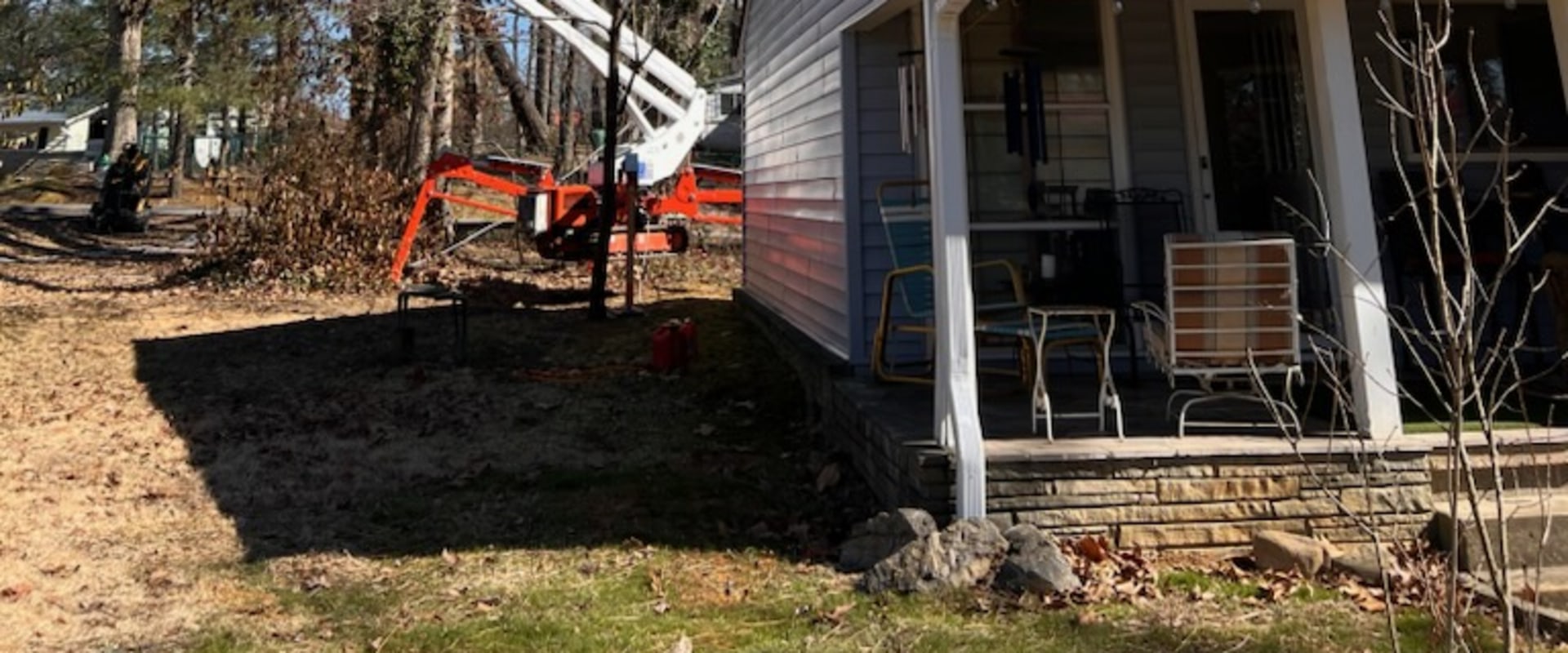 The Art Of Tree Pruning: How Professional Services In Johnson City Can ...